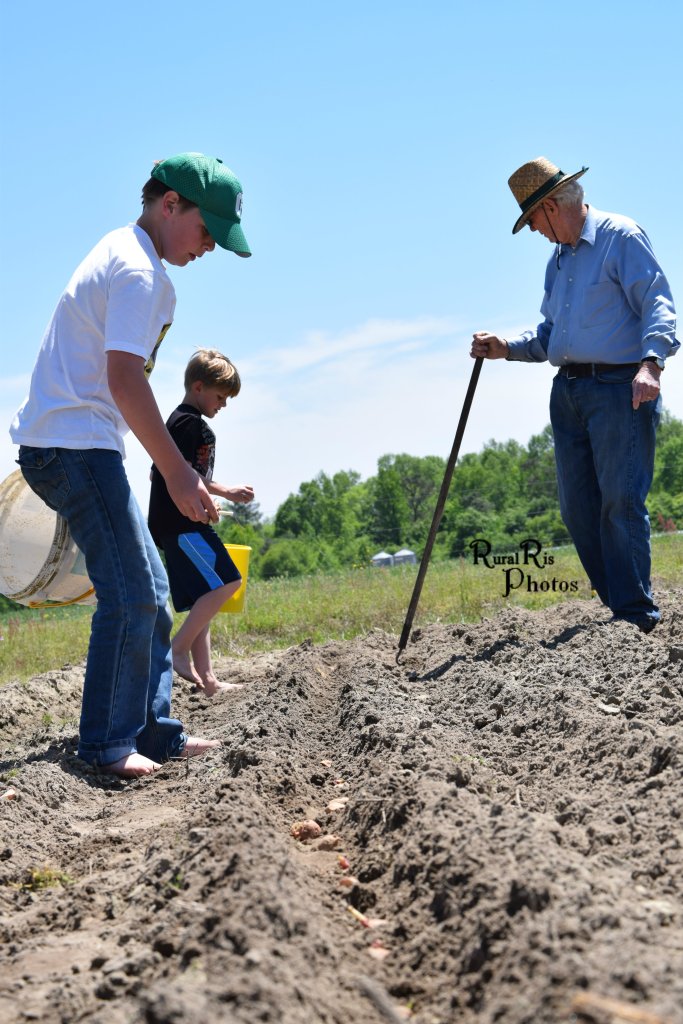 Life of a Farm Boy – Rural Ris